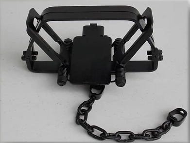 Beaver Extreme Trap | Tight Chains Outdoors